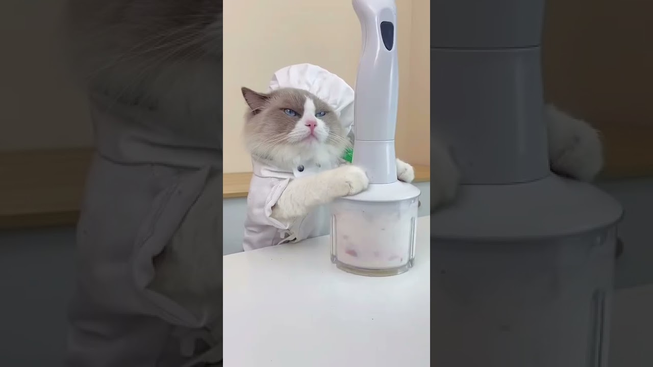 That Little Puff's video || °•Sᴛᴀʀ ᴅᴜsᴛ•° - YouTube
