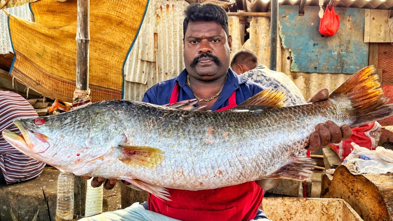 KASIMEDU 🔥 SPEED SELVAM | HUGE BARRAMUNDI FISH CUTTING VIDEO | 4K VIDEO ...