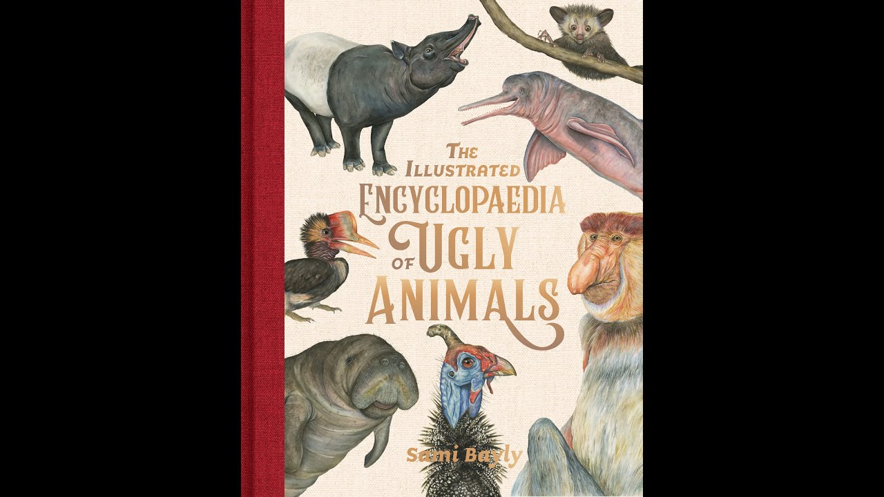 Sami Bayly illustrating process video - YouTube