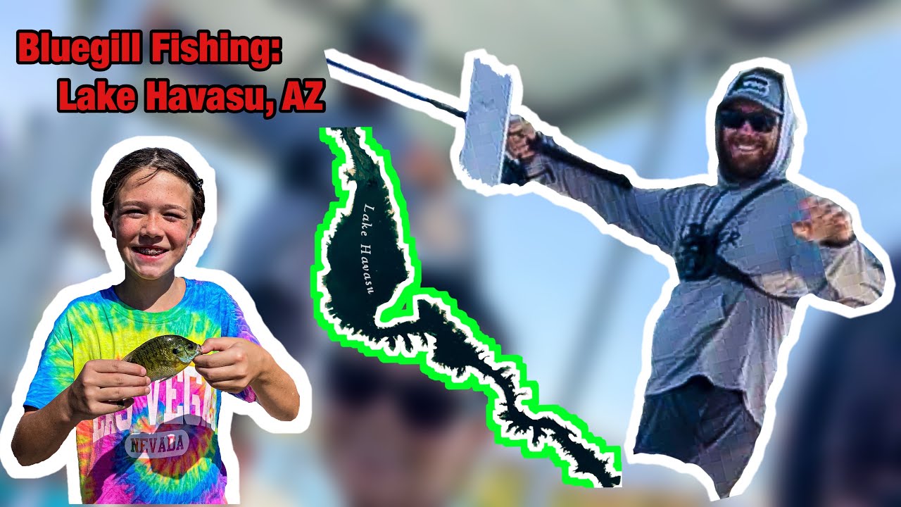 Bluegill Fishing in Lake Havasu, AZ!!! - YouTube