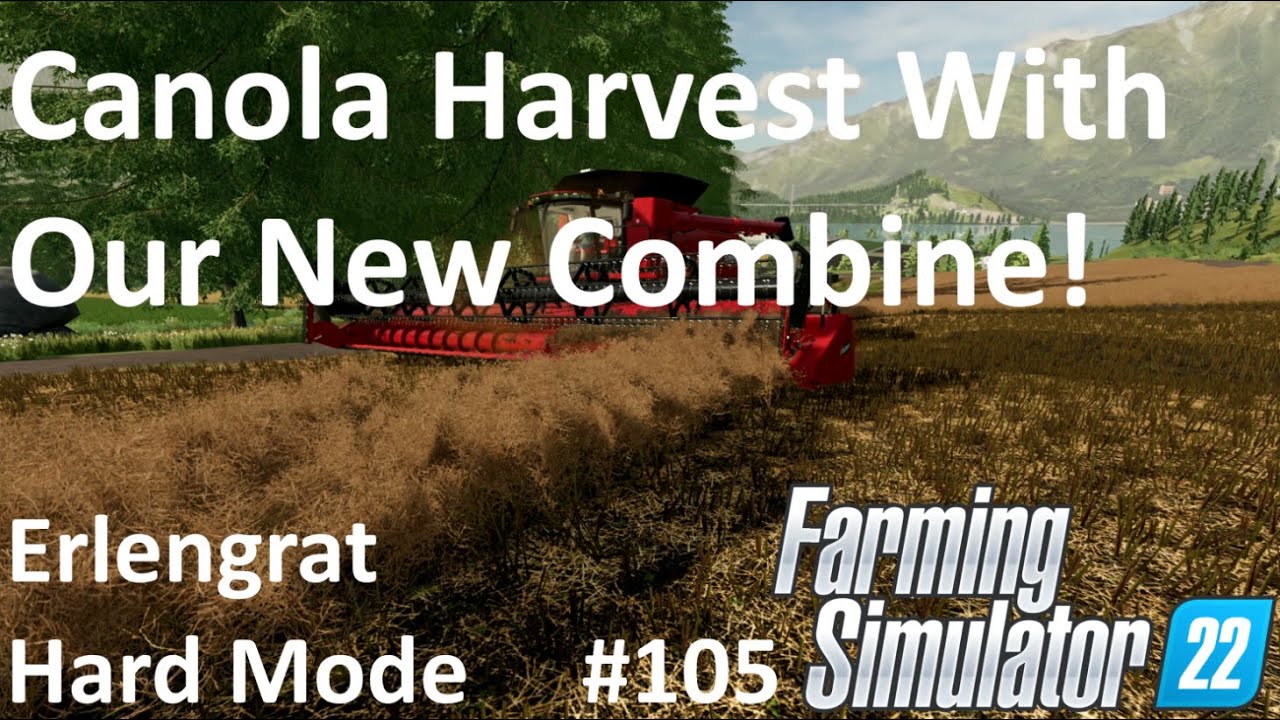 Canola Harvest With Our New Combine! - Erlengrat - Hard Mode - Ep. 105 ...