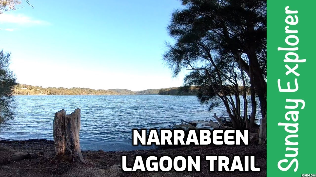 NARRABEEN LAGOON TRAIL, Sydney Northern Beaches - YouTube