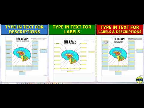 Brain Interactive Google Slides Activities (by Tangstar Science) - YouTube