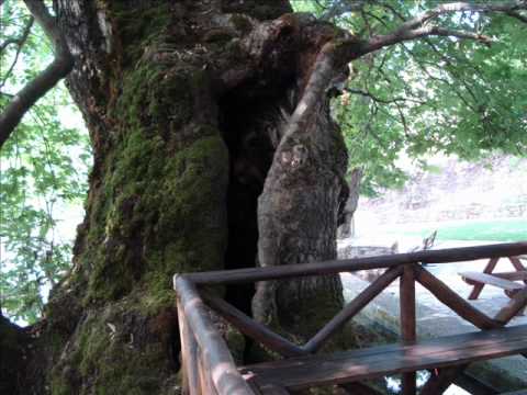 Σκαρλας μ αγαπας μωρε - YouTube
