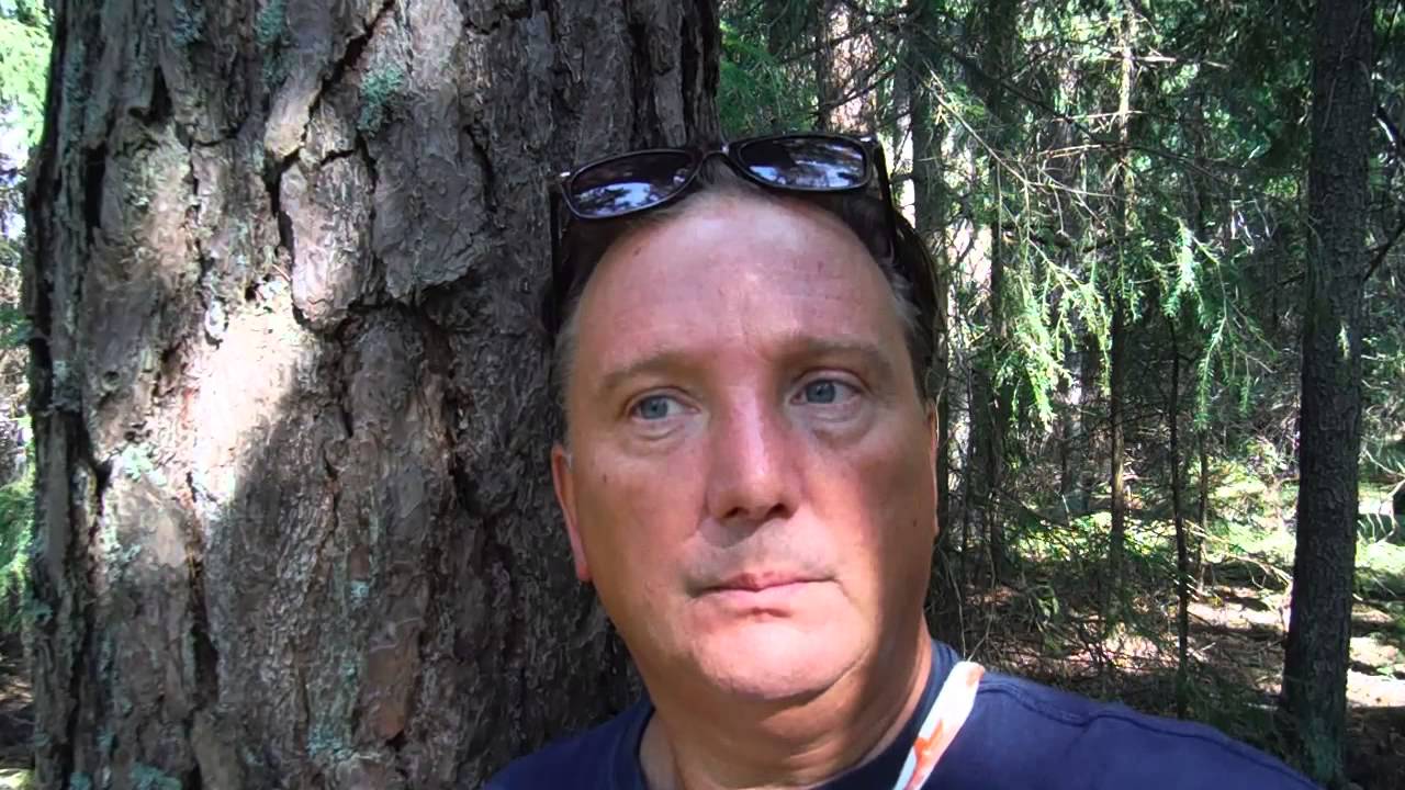 DEREK LYONS TALKS, DEPRESSION AND ROBIN WILLIAMS RIP - YouTube