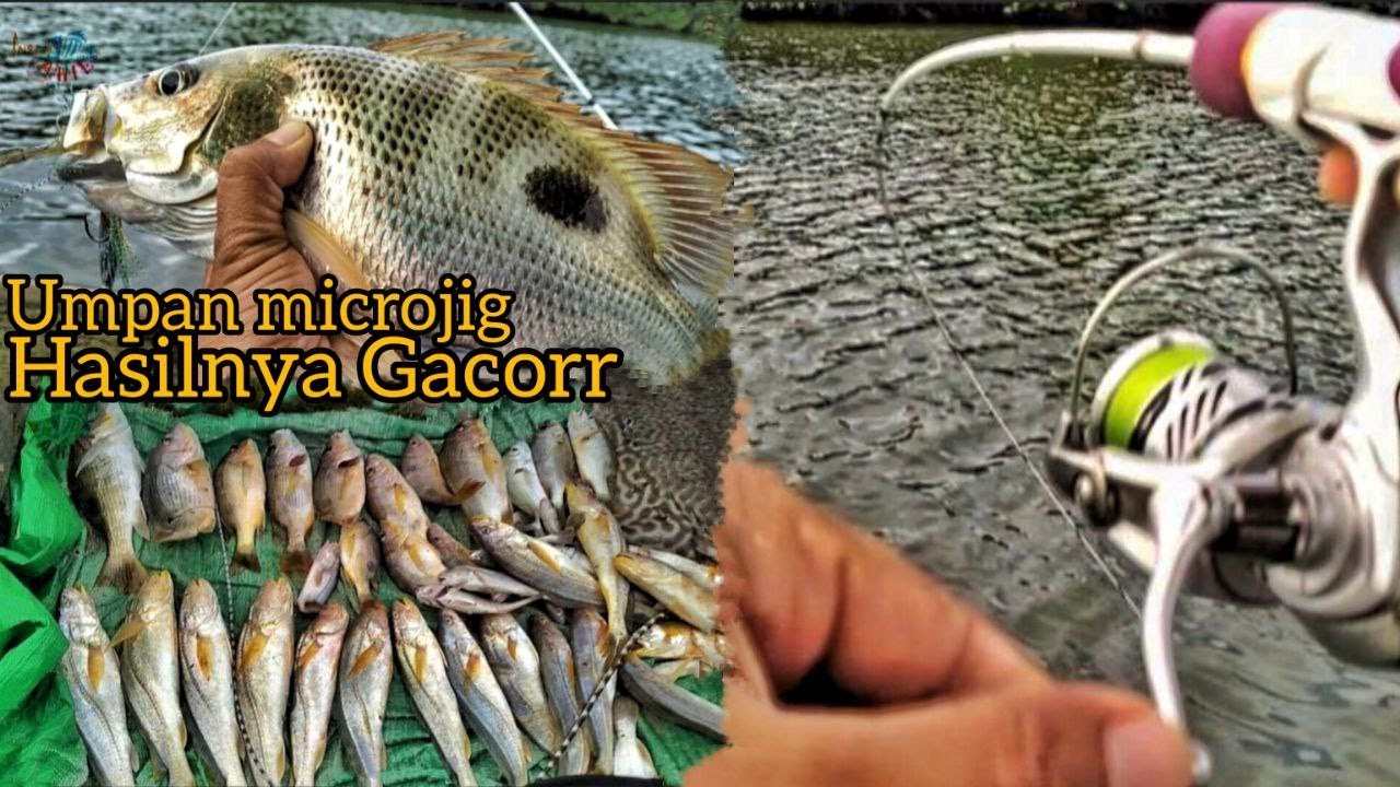 Keseruan Mancing Bersama para Angler | Hasil Memuaskan - YouTube