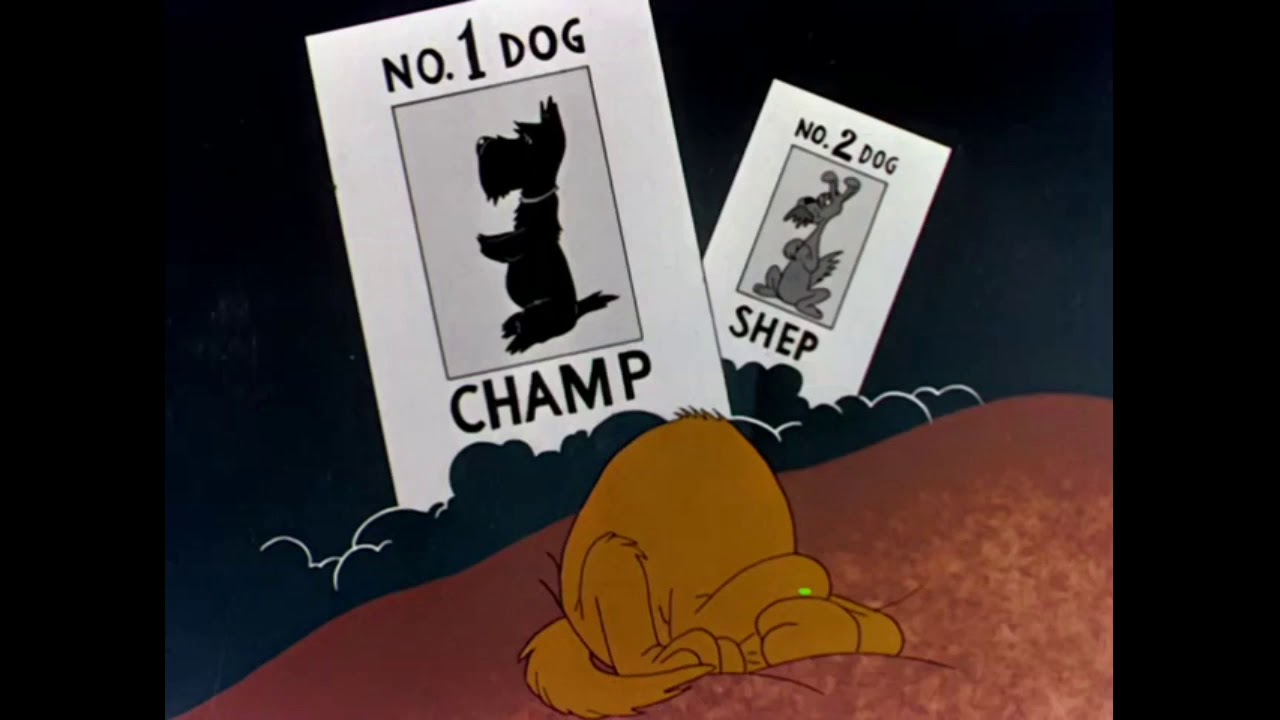 Fresh (Dog) Fresh Airedale NO.1 DOG - YouTube