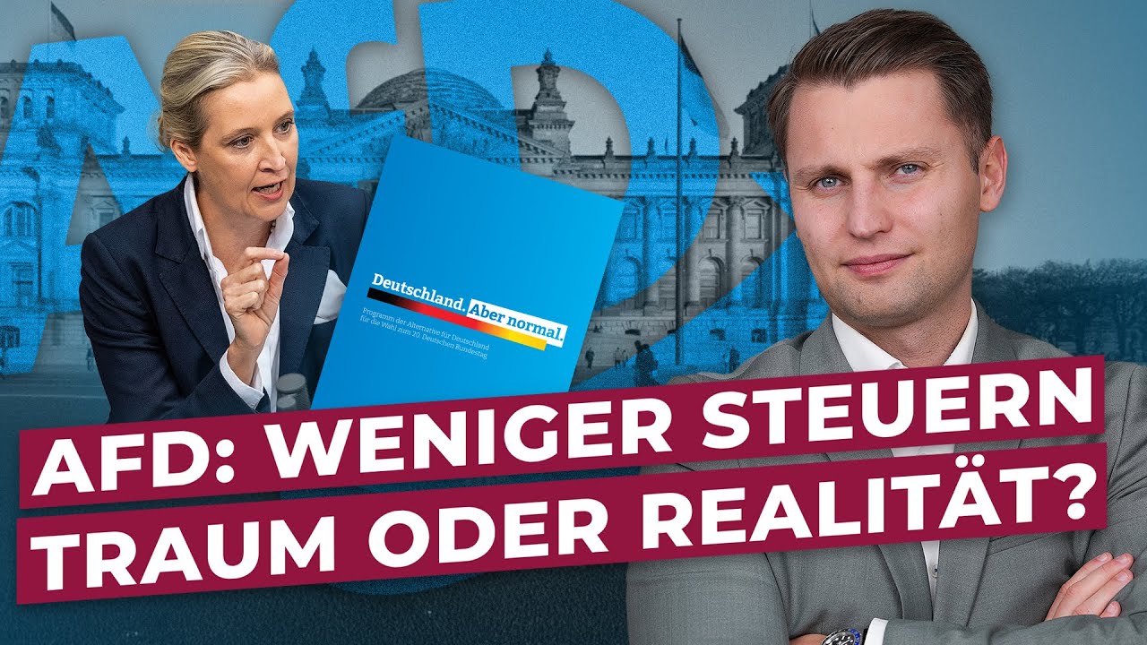 Alice Weidel Wahlprogramm AFD 2025 | Steuerberater David Kasper analysiert - YouTube