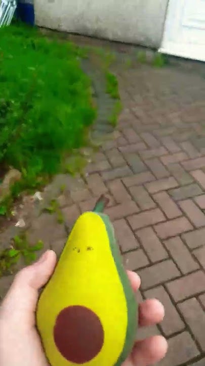 17 October 2023 - YouTube