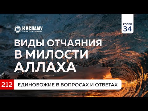 Вопрос 212. Виды отчаяния в Милости Аллаха. Единобожие в вопросах и ответах