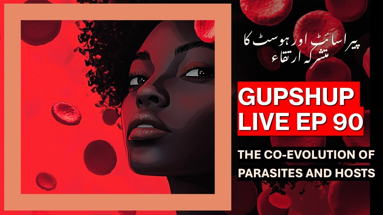 GUPSHUP LIVE EP 90 - YouTube