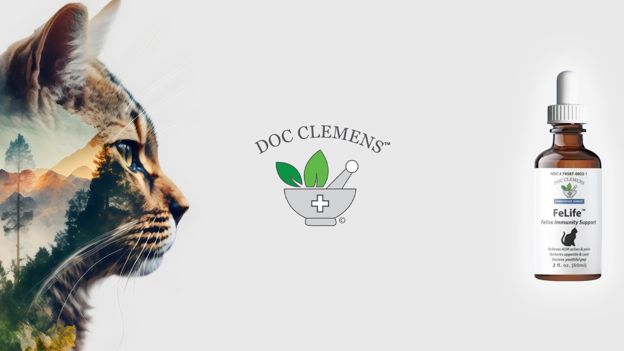 FeLife™ - Reduces FeLV Virus in Cats - YouTube