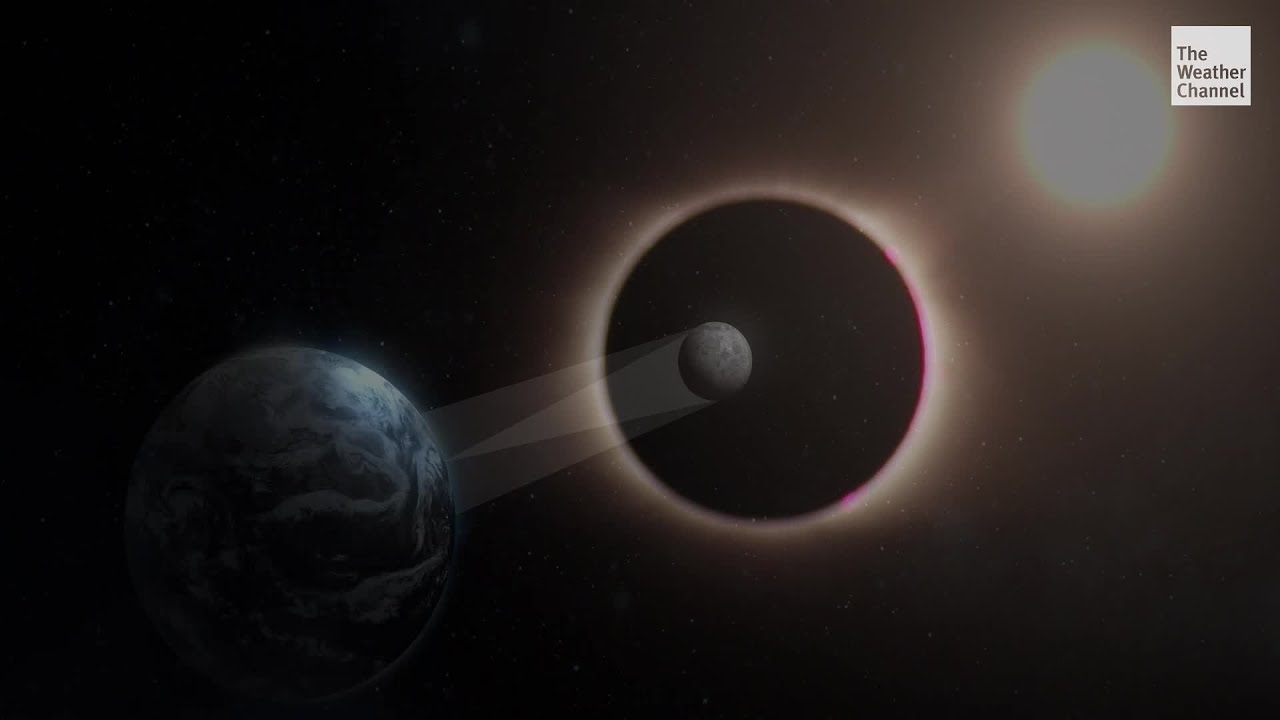 The Weather Channel Meteorologist Mike Bettes Shares Fast Facts About ...