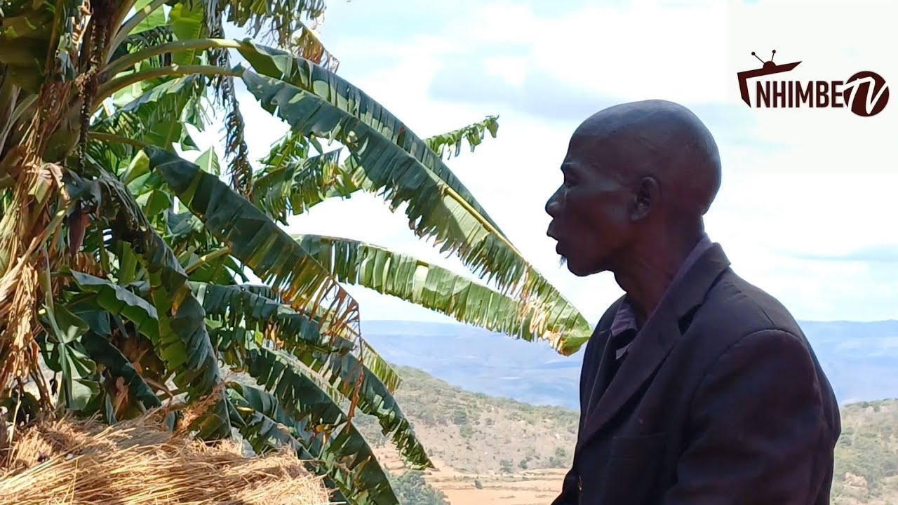 Varikuramba Kundidzosera Chikwambo Changu, Vondirova Futi Vachiti ...