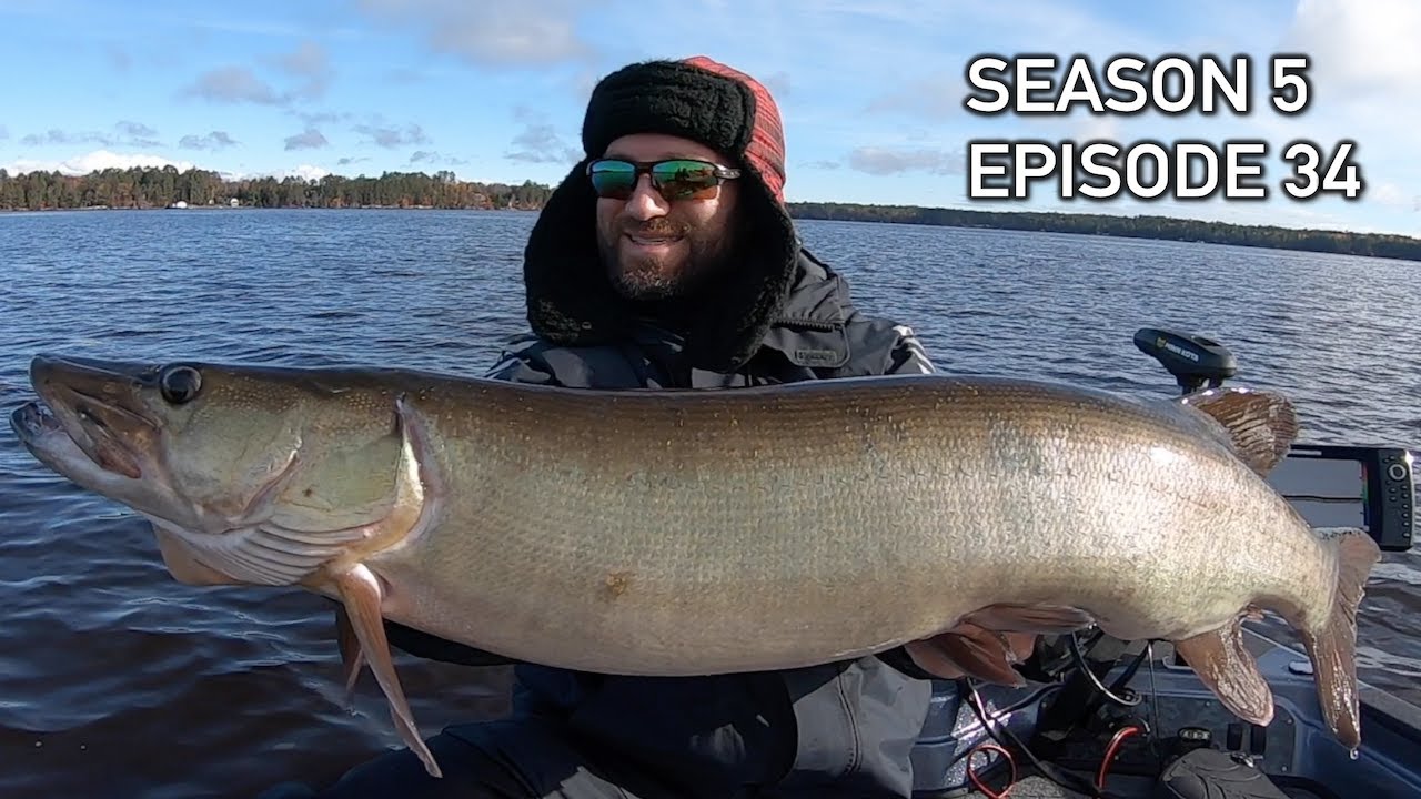 Trolling Ciscos for FAT FALL MUSKIES! | Musky Hunting Northern ...