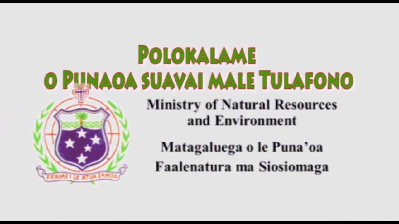 Polokalame o Punaoa suavai male Tulafono - YouTube