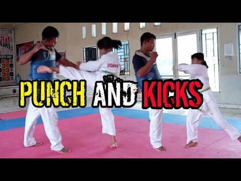 TAEKWONDO PUNCHING COMBINATION WITH DIFFERENT KICKS - YouTube