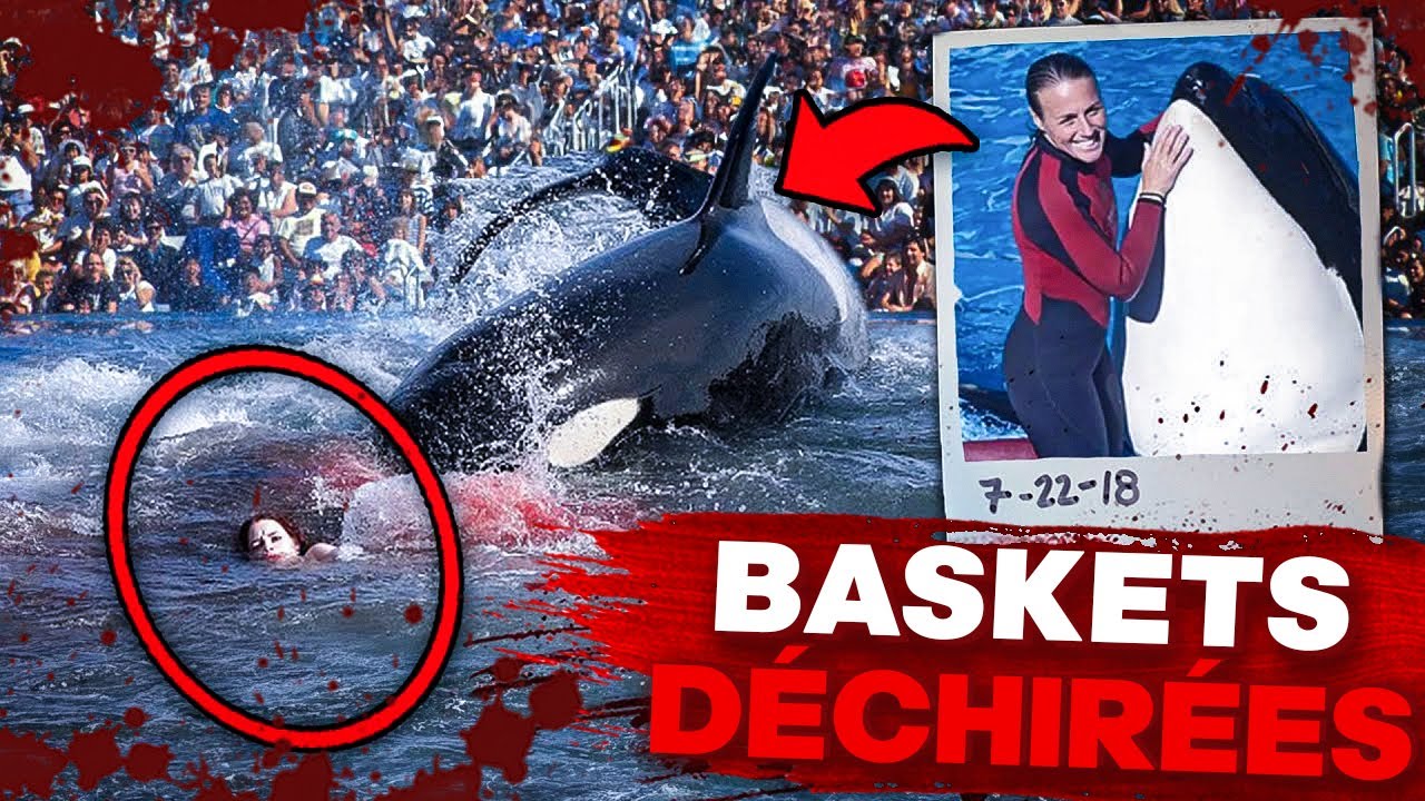 L'attaque d'Orque la plus BRUTALE Jamais Vue à la Télévision en Direct ...