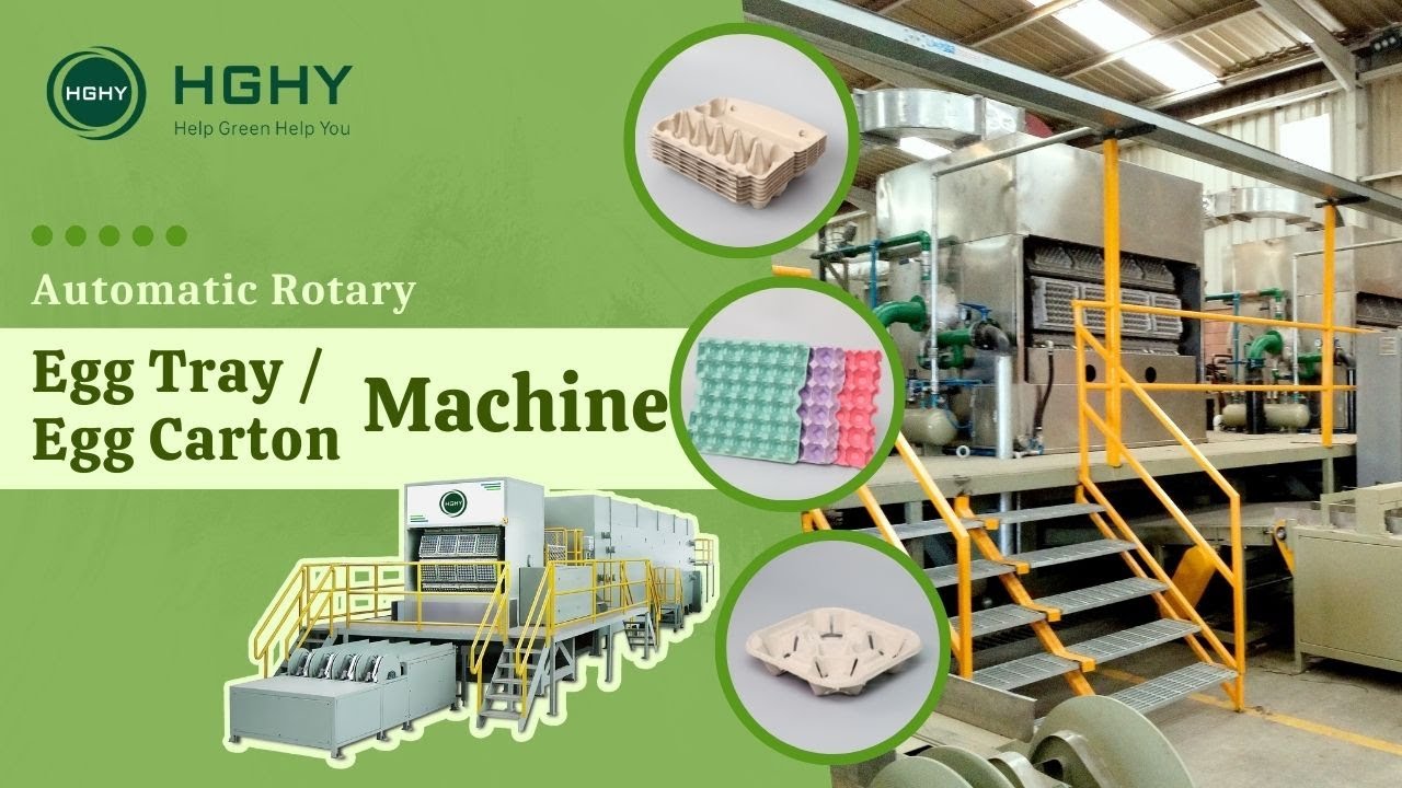 Automatic Rotary Egg Tray / Egg Carton Machine - YouTube