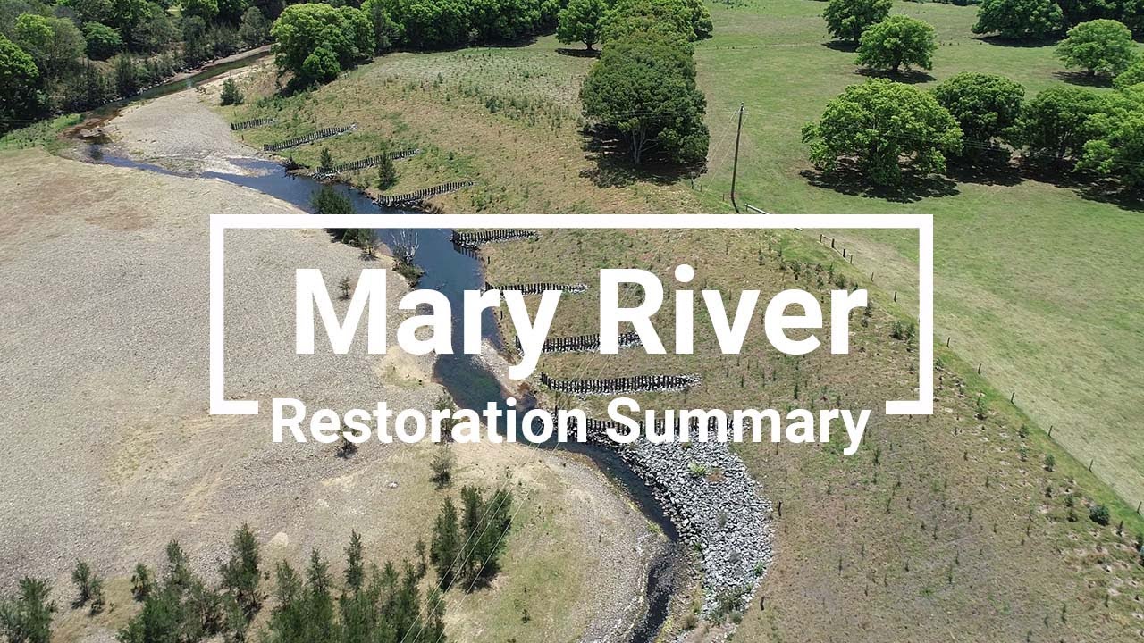 Mary River Restoration Summary: Reducing Erosion helps protect the ...