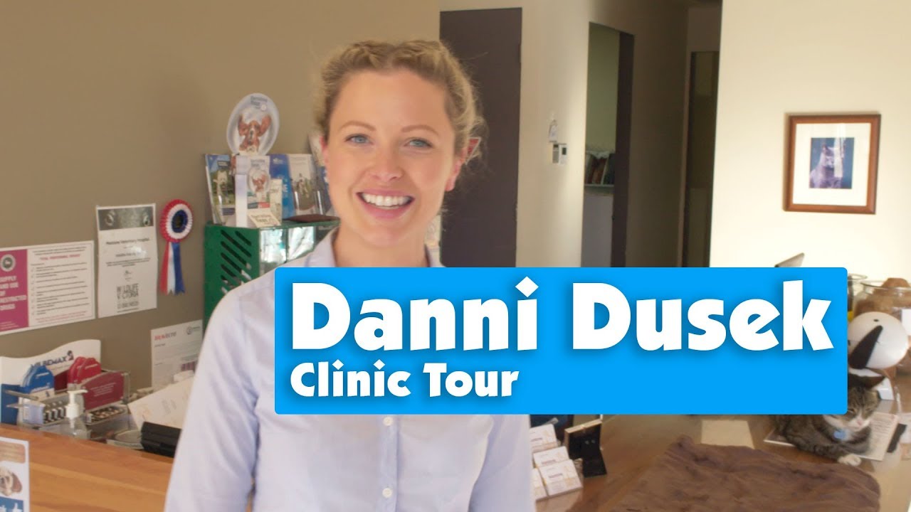 Danni Dusek - CLINIC TOUR - YouTube