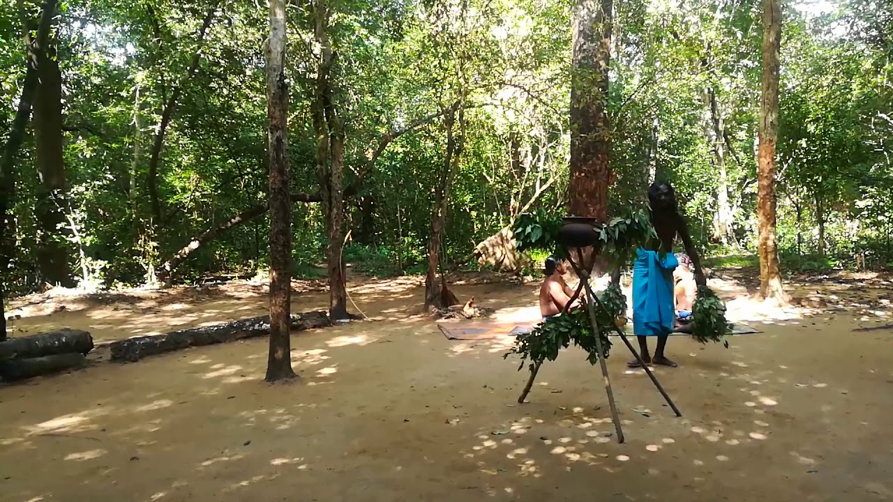 ආදී වාසීන්ගේ ශාන්ති කර්මය, Dabana, Sri Lanka - YouTube