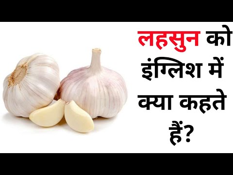 'लहसुन' को इंग्लिश में क्या कहते हैं? || What is 'Lahsun' called in ...
