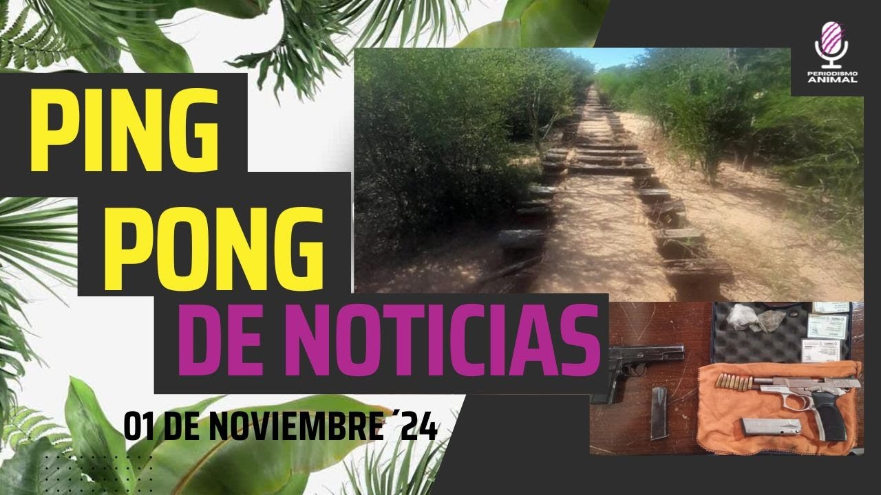 Cae otro político chorro que se afanaba las vías para venderlas a ...