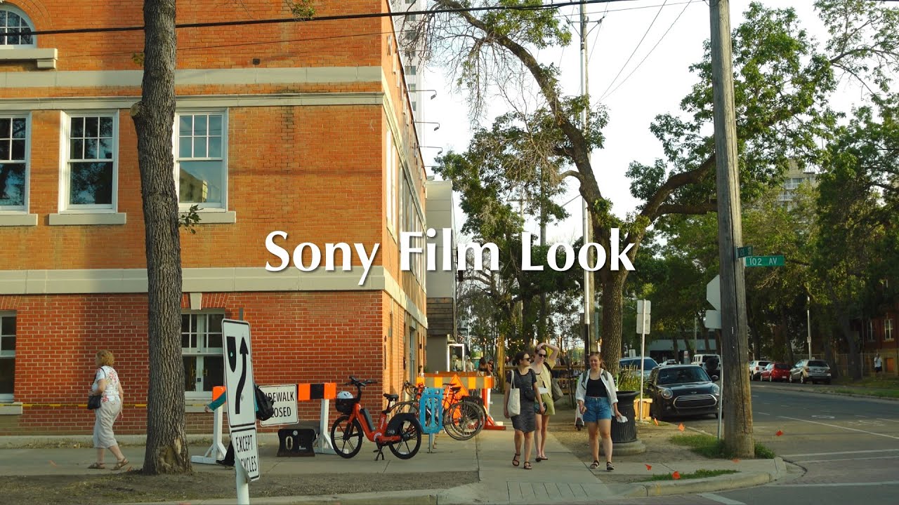 Sony Recipe With Video Samples | Sony Film Look Color Profile | ZV-1 ...