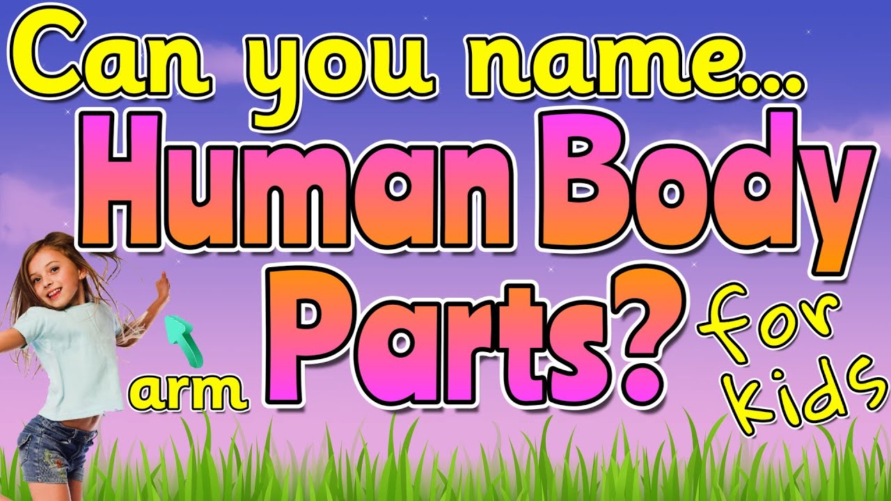 NAMING PARTS OF THE BODY for kids | Learn Body parts | Basic Parts of ...