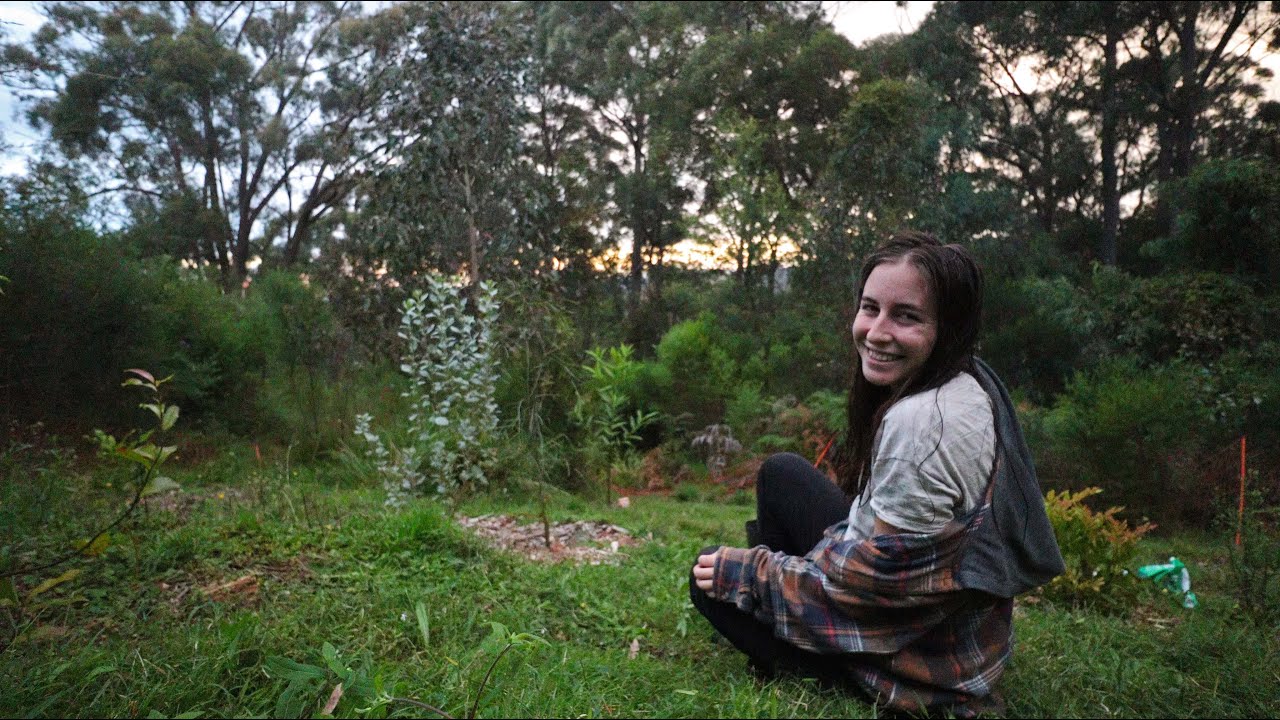 6 Month Food Forest Update \\ Australian native permaculture food ...