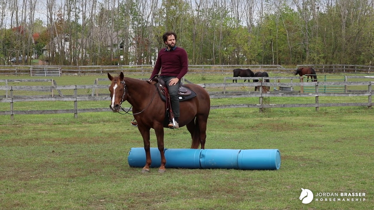 flying lead changes over a jump exercise level 3 - YouTube