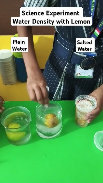Water Density with Lemon Science Experiment #scienceproject #scienceexperiment #waterdensity # ...