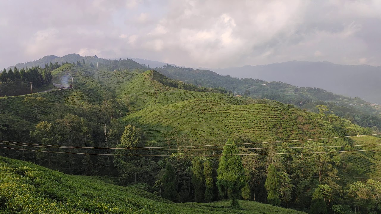 #visit_nepal_2020 #pashupatinagar ilam road #illam - YouTube