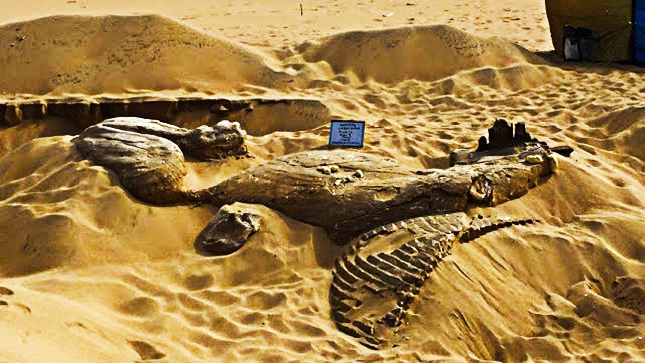 Archaeologists Dug Up a Californian Sand Dune and What They Discovered ...