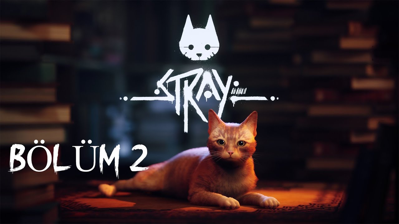 B12 İLE YOLA DEVAM - STRAY [2] - YouTube