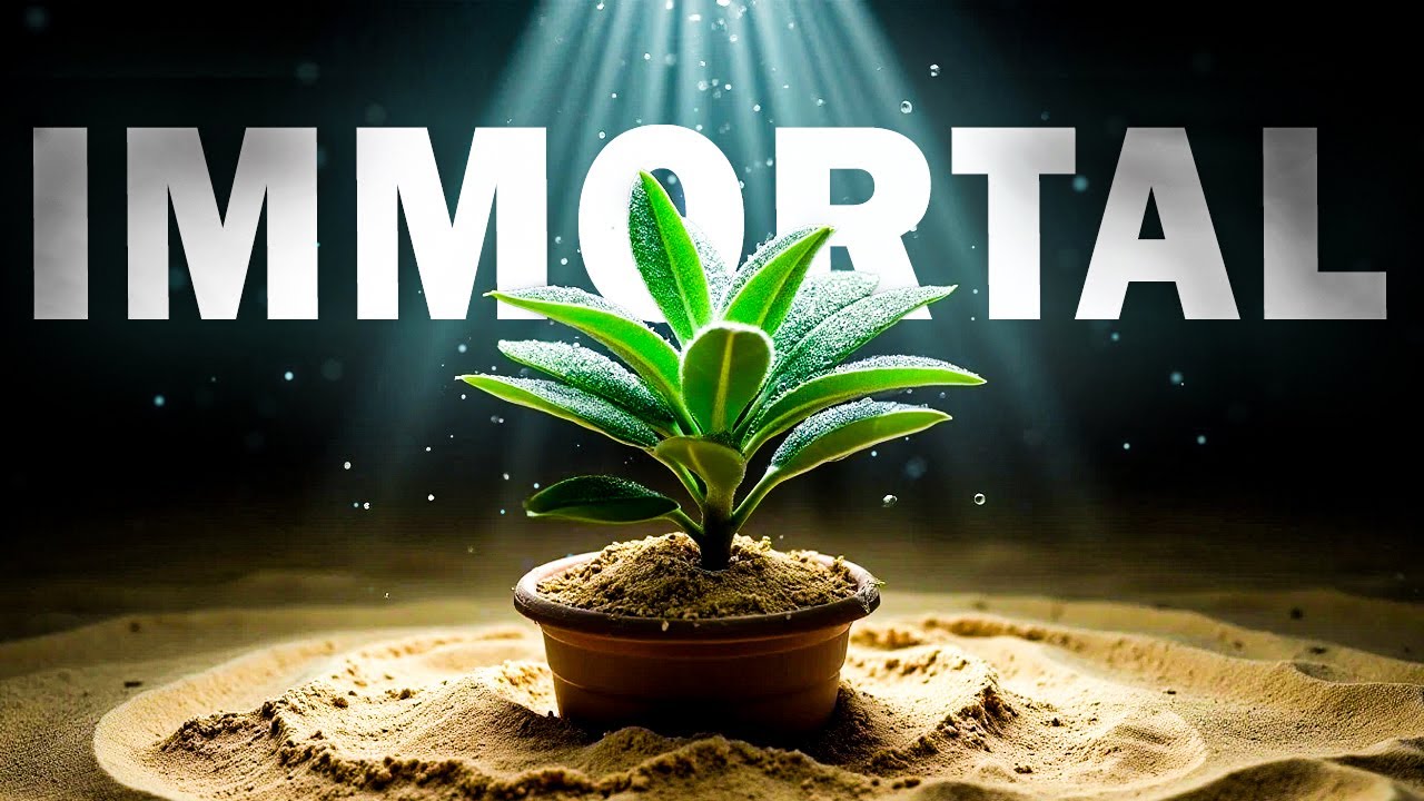 MIND-BLOWING PLANT SECRETS REVEALED - YouTube