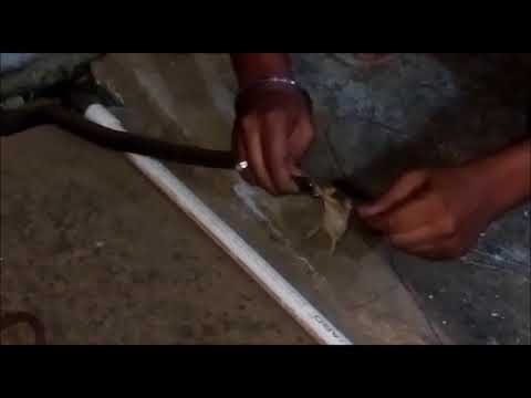 how to rescue a snake - YouTube