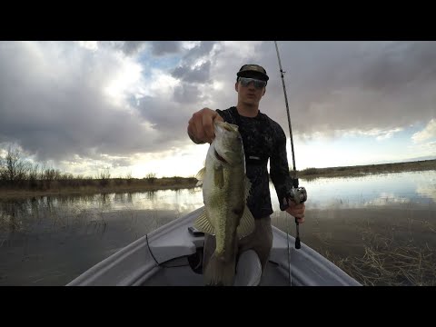 BIG BASS Blowup on Topwater Frog- Fly/ Frog Bass Fishing! - YouTube