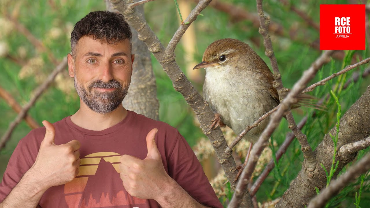 Workshop di FOTOGRAFIA NATURALISTICA ft. @RceFoto-Official e Francesco Simonetta - YouTube