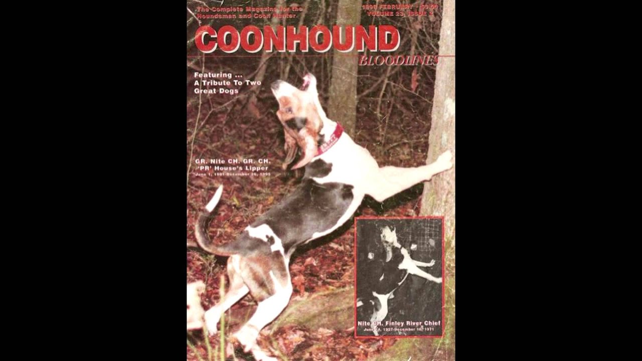 House's Lipper Audio and Ad from Coon Hound Blood Lines...=) - YouTube
