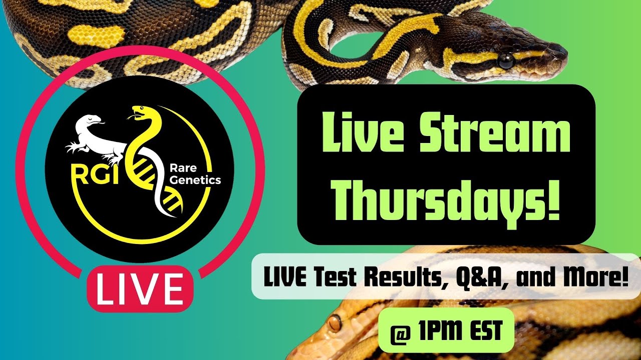 Livestream Thursdays! w/ Dr. Ben Morrill - YouTube
