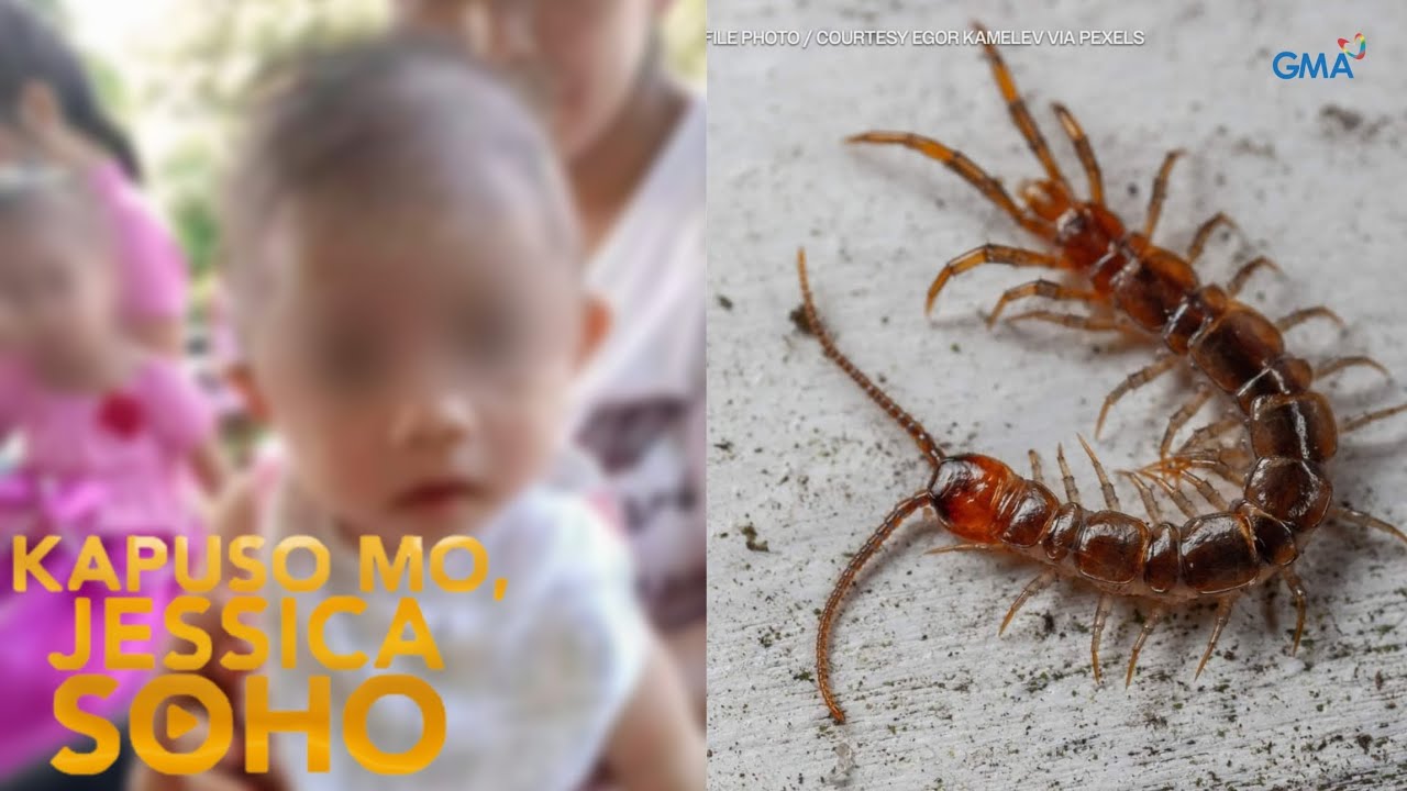 Bata, nawalan ng buhay matapos diumano makagat ng alupihan?! | Kapuso ...
