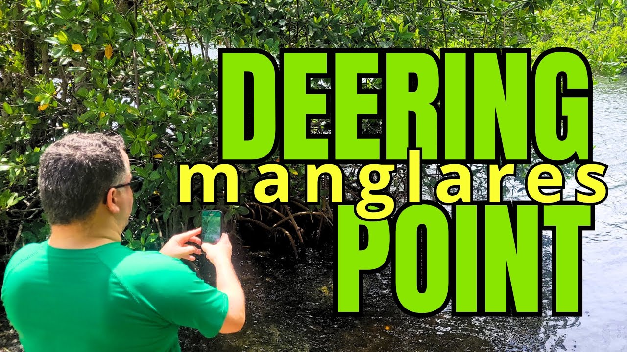 Deering Point: un Oasis Escondido en Miami - YouTube