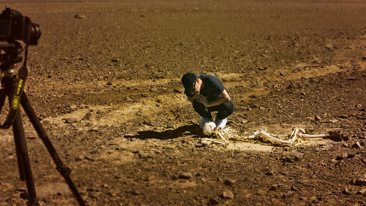 Skeleton, Dust, Soil Trailer | CPH:DOX 2022 - YouTube