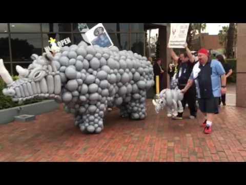 Australia's BIGGEST Balloon rhino ever walks around Sydney - YouTube