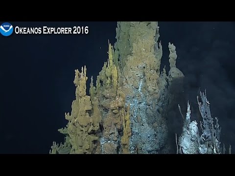 NOAA live May 01 2016 Marianas Trench hydrothermal vent field - YouTube