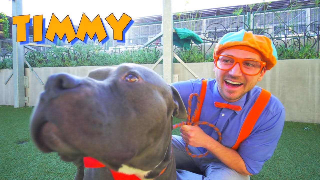 Blippi Learns At The Animal Shelter | Learn About Animals For Kids ...