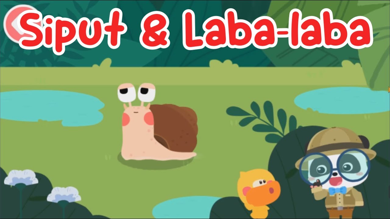 Mempelajari SIPUT & LABA LABA 🐌 🕷 | KARTUN & GAME ANAK BABY BUS - YouTube