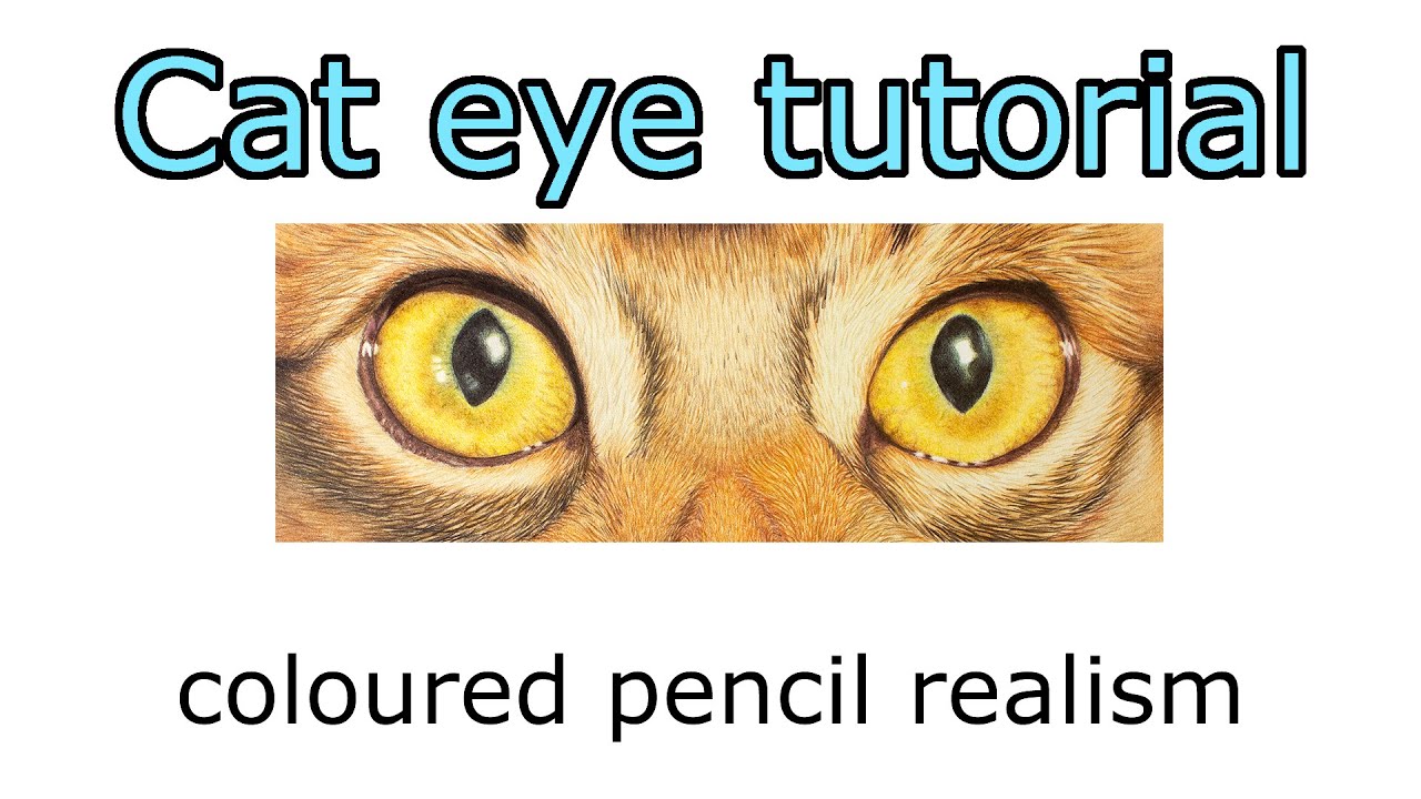 CAT EYE TUTORIAL - How to draw a cat's eye with coloured pencil ...
